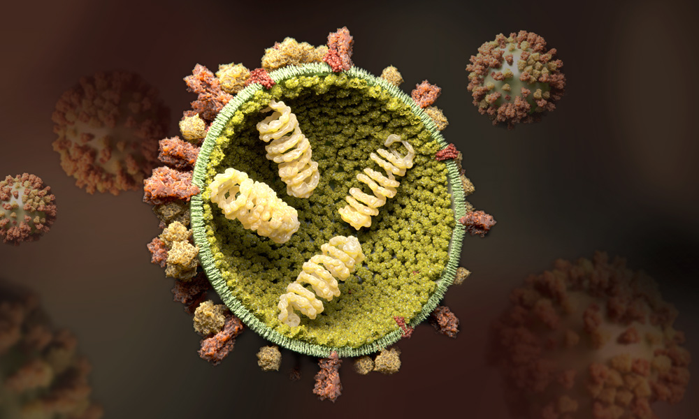 Understanding The Influenza Virus News EMBLEM Technology Transfer GmbH