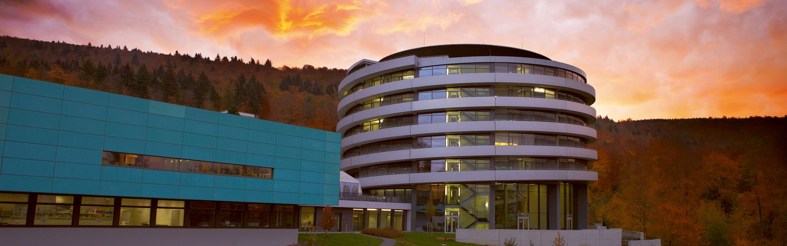 About EMBLEM – EMBLEM Technology Transfer GmbH