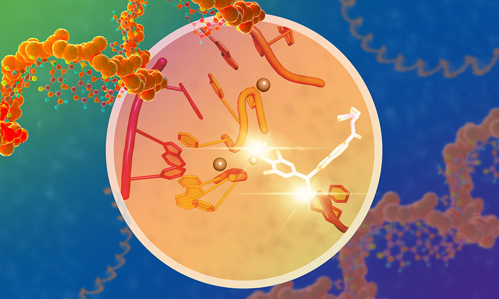 IIT-EMBL: New molecules to modulate gene expression – EMBLEM Technology ...